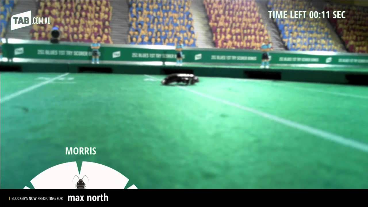 Blocker's prediction for max north - YouTube