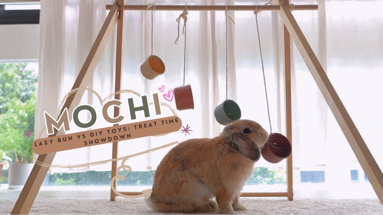 🐰💪Cute Bunny vs DIY toys: Treat Time Showdown - YouTube