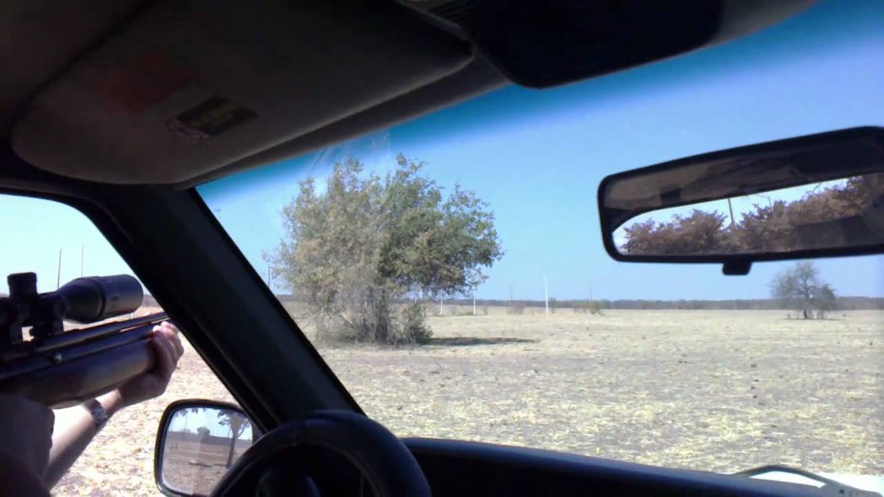 Hunting Benjamin Discovery .22 part 2 - YouTube