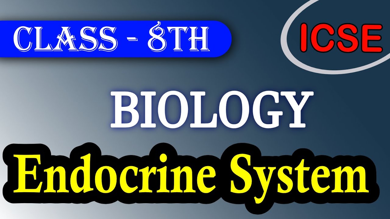 The Endocrine System ICSE Class 8th | Biology Endocrine System | 2nd ...