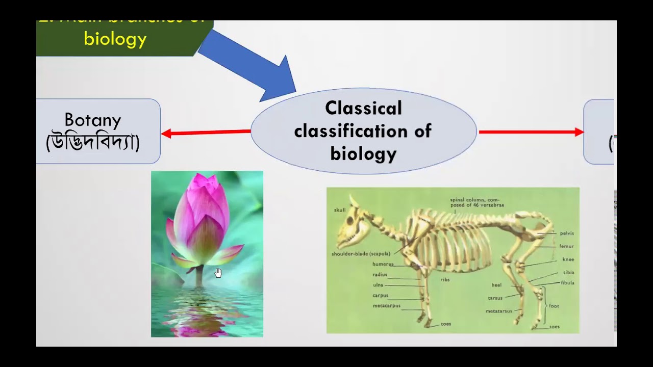 2021_14_ 01 NINE EV BIOLOGY CLASS PART 1 - YouTube