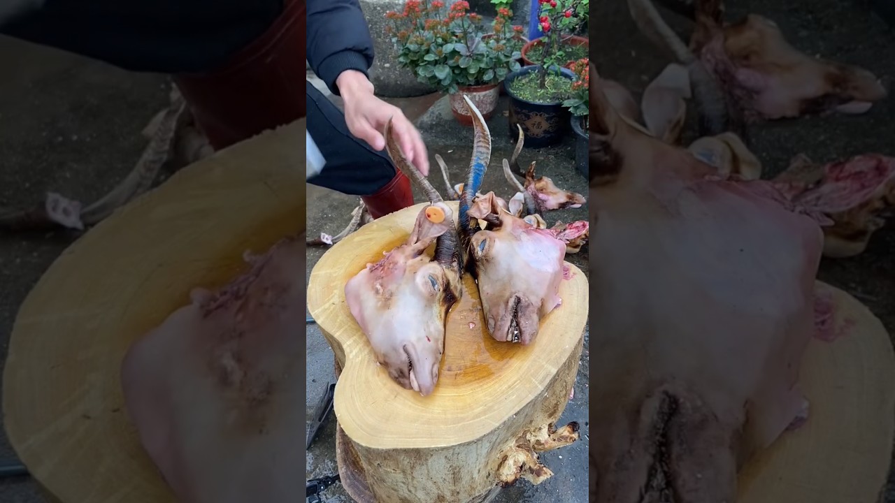 Goats Head Cutting Skills By Professional Cutter || Best Goat Head ...