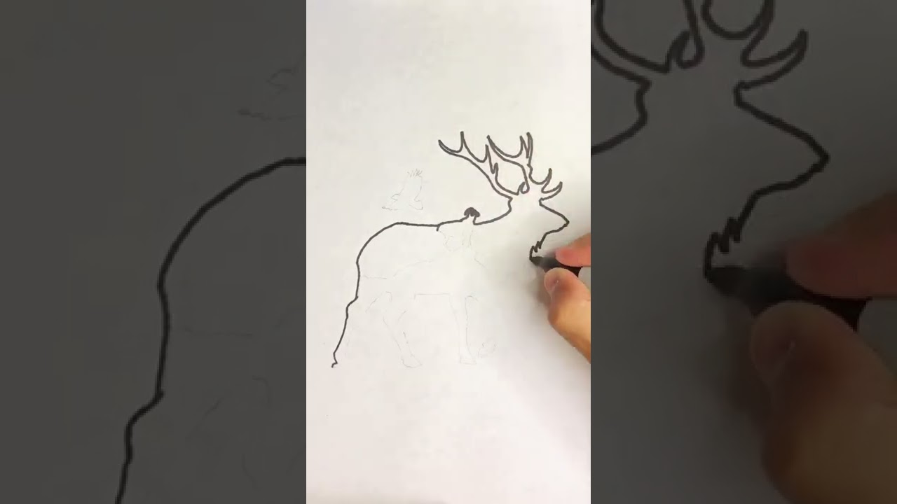 Aprende a dibujar un venado de forma creativa - YouTube