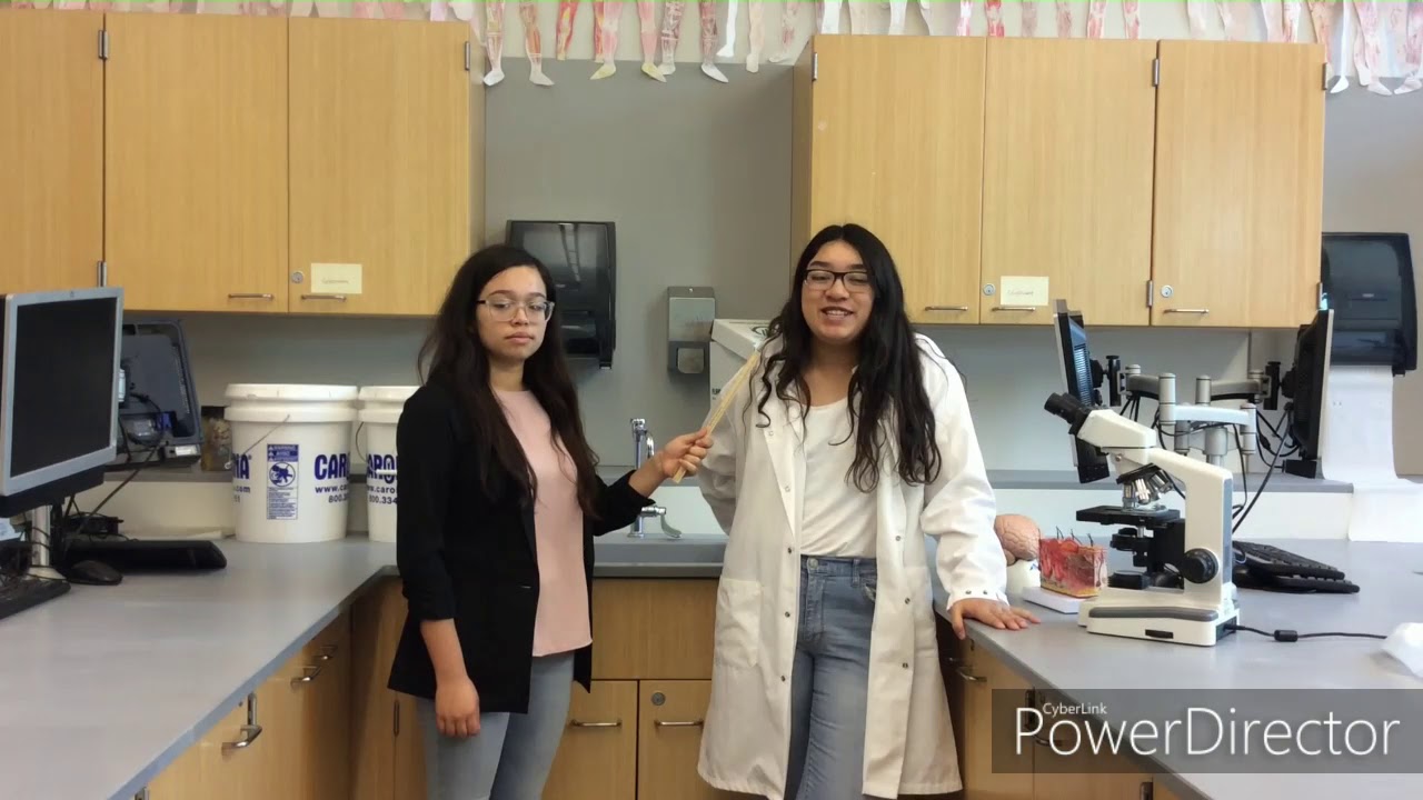 Zombie Histology project - YouTube