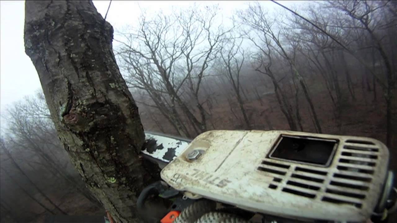 GoPro Tree Removal - JPK INDUSTRIES - YouTube