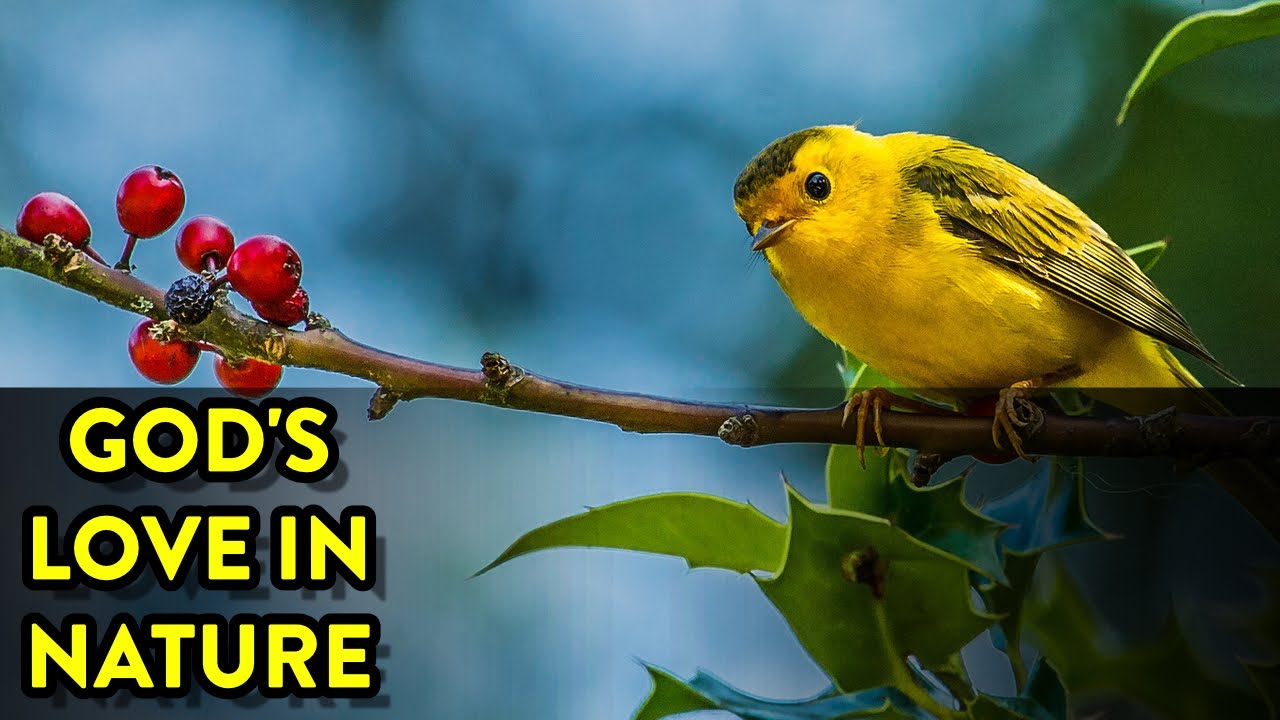 God's Love in Nature - Visual Object Lessons Devotional [2023] - YouTube