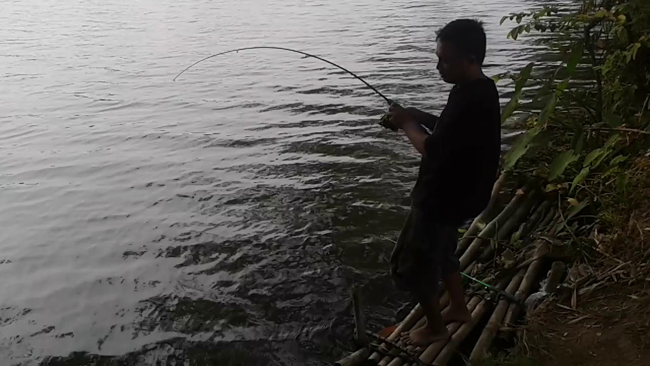 Mancing liar cipule karawang - YouTube