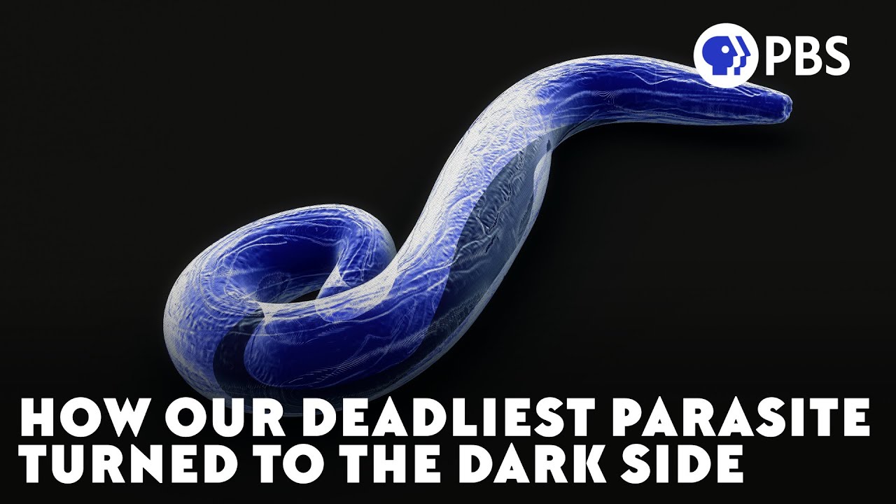 How Our Deadliest Parasite Turned To The Dark Side - YouTube