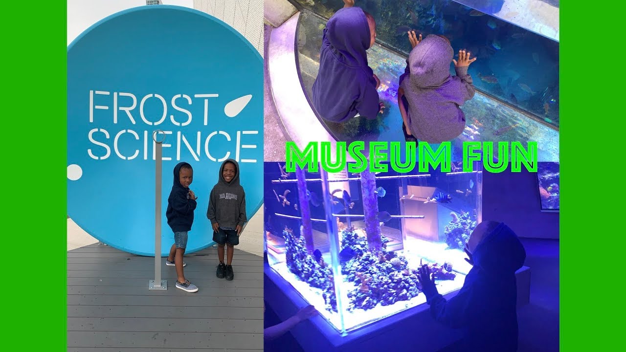 Frost Museum of Science | The boys loved it - YouTube