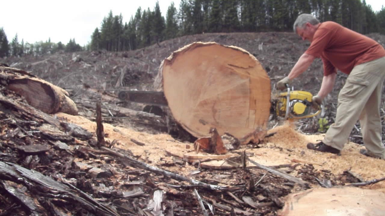 McCulloch Super Pro 125 (#8) vintage chainsaw - longer bar run - YouTube