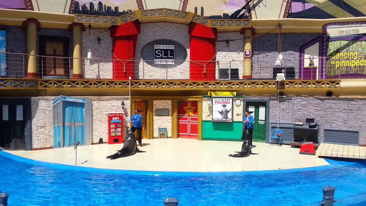 กำนัน สไตล์ แมวน้ำ สไตล์ Gamnan Style - YouTube