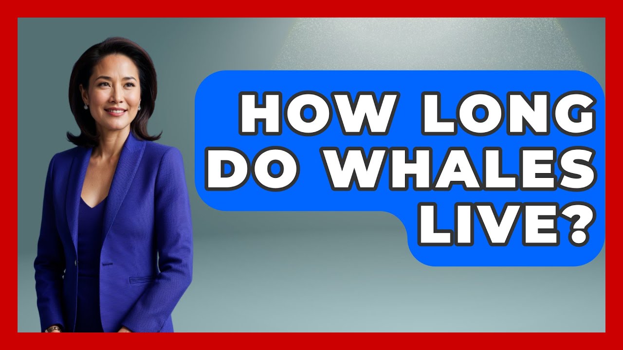 How Long Do Whales Live? - The Wild Life Explorer - YouTube