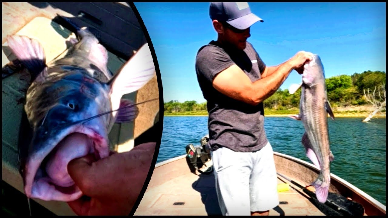Catfish Jugging - Truman Lake - YouTube