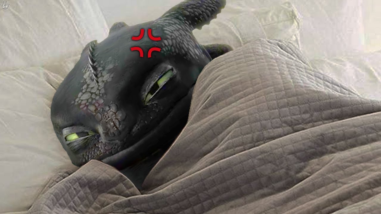 Toothless has NOISY Neighbours - YouTube