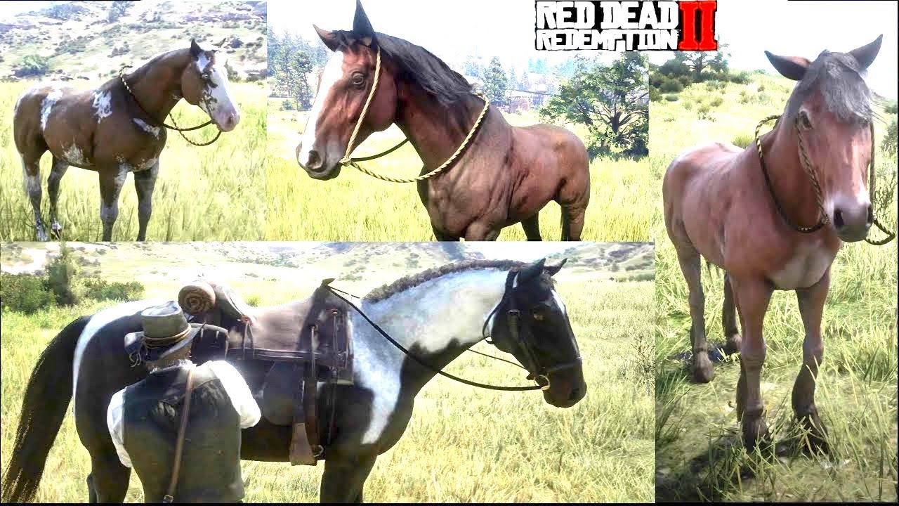 How To Get a Good Horse Early in Chapter 2 - Red Dead Redemption 2 ...