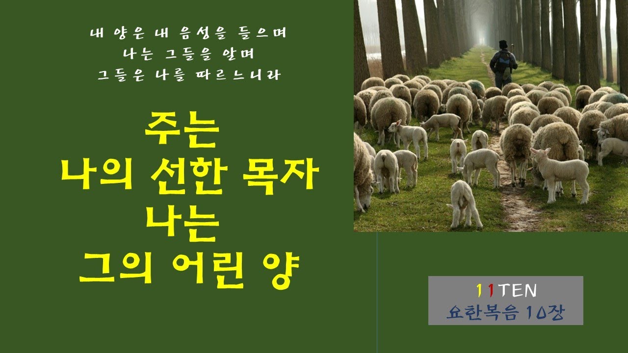 주는 나의 좋은 목자 나는 그의 어린양 요10장 Pmi Tv 일일ten 곽성환 목사 Youtube