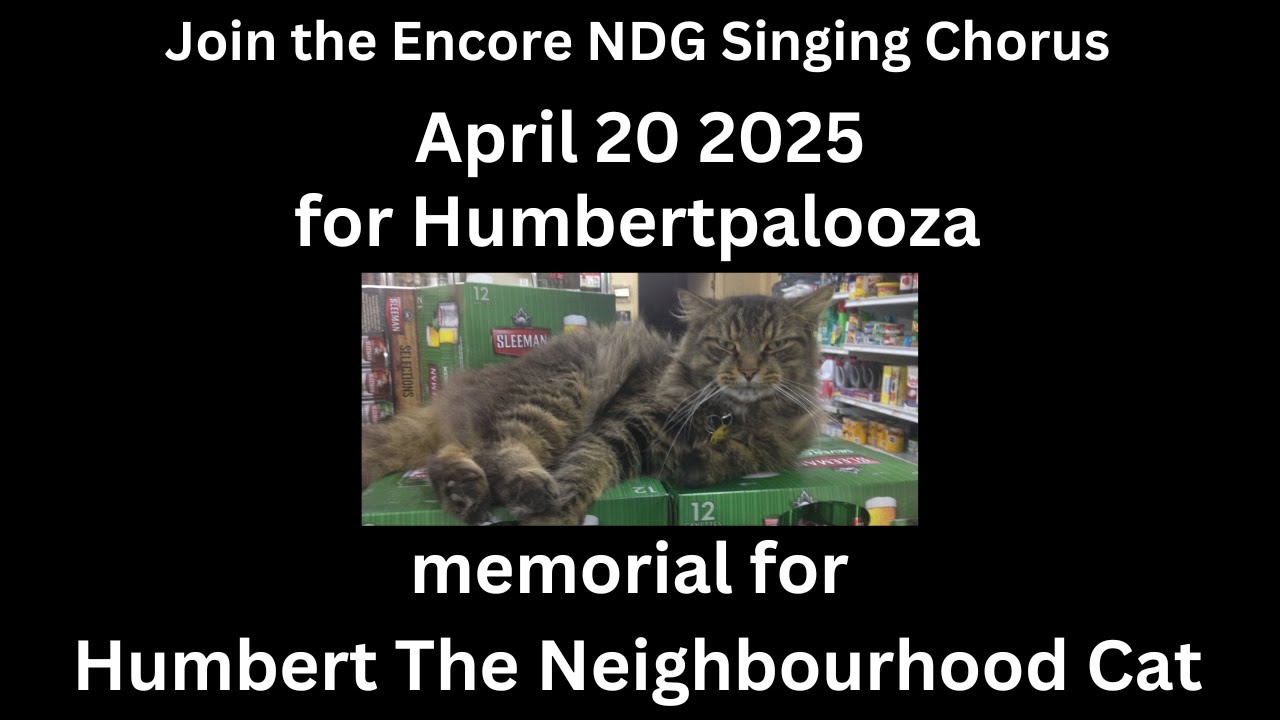 Soft Kitty Warm Kitty from The Big Bang Theory, sung by the Encore ...