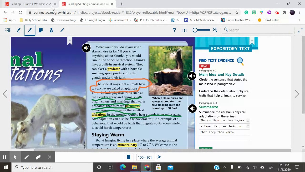 Wonders Companion: Animal Adaptations - YouTube