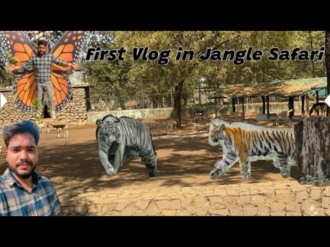 First vlog in Jangle Safari view 👈🏻😱😍 #viralvideo #janglee - YouTube