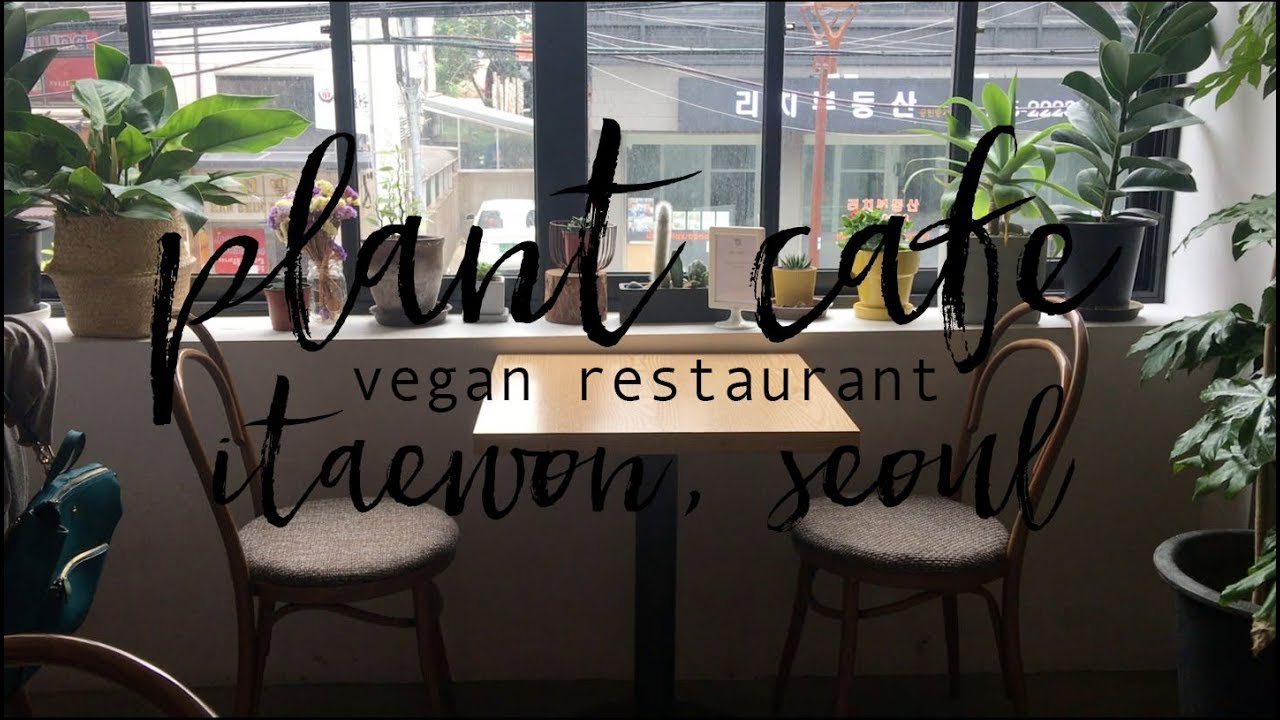 Plant Cafe | Itaewon, Seoul - YouTube
