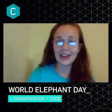 WORLD ELEPHANT DAY | VR CODING PROJECT - YouTube