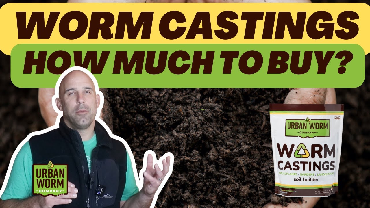 Don't Overspend on Worm Castings! Here's How Much to Buy & Apply - YouTube