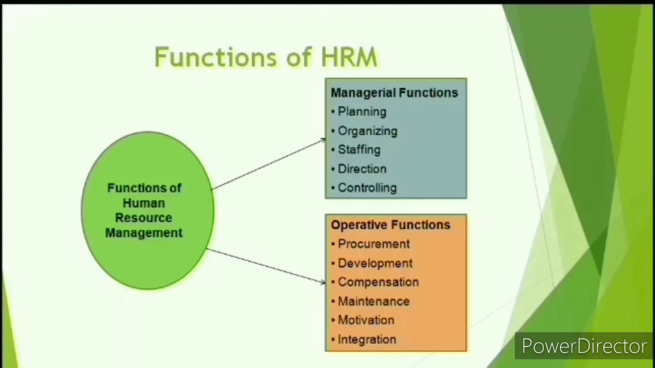 Basics of Human Resource Management - YouTube