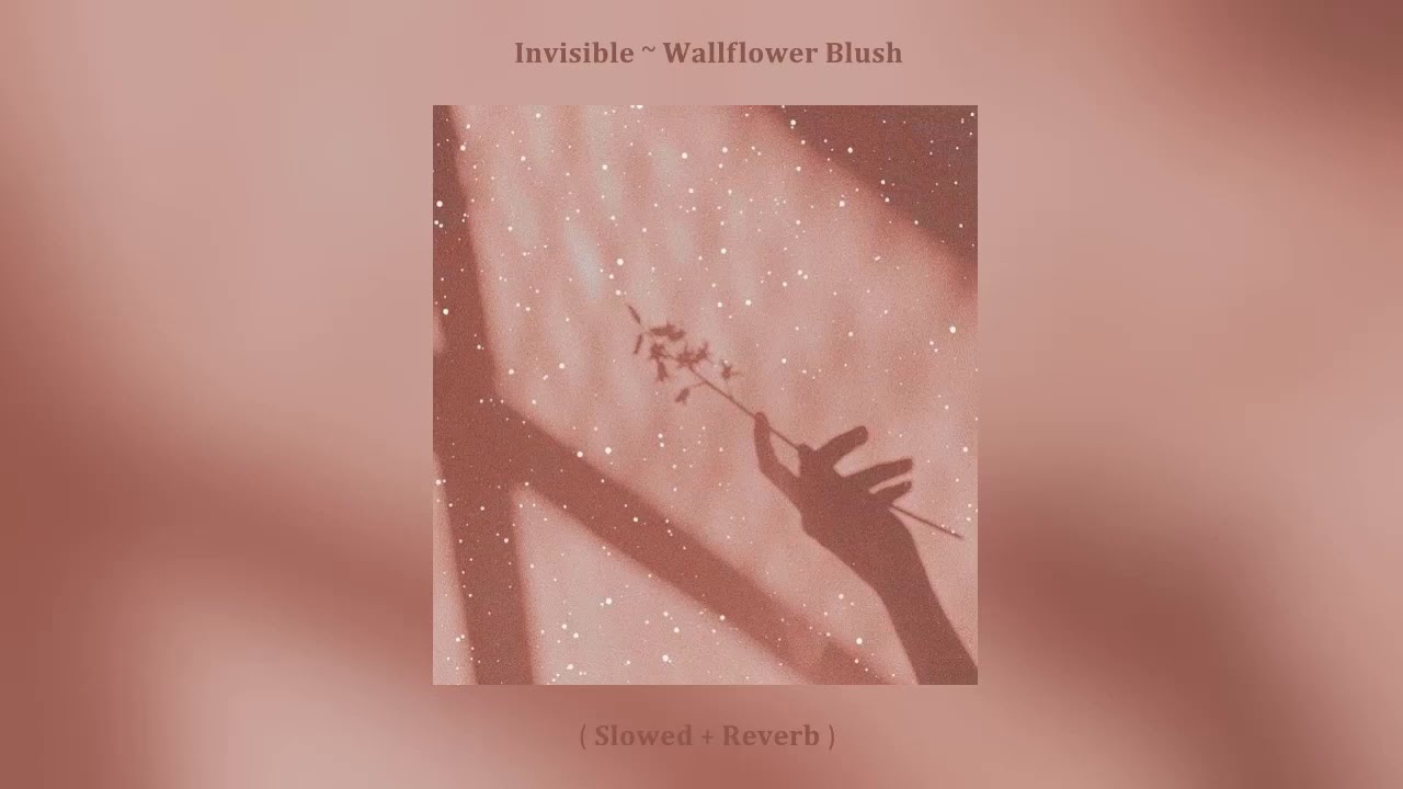 Invisible ~ Wallflower Blush from My Little Pony Equestria Girls ...