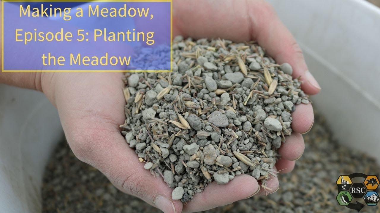 Making a Meadow, Episode 5: Planting the Meadow - YouTube