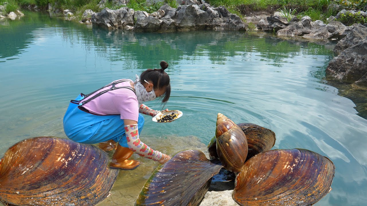 Giant clams appear in the deep pool, with beautiful women monopolizing ...