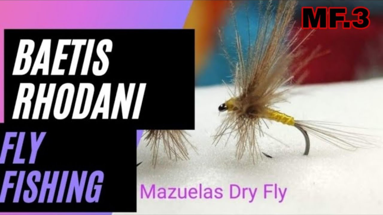 FLY TYING DRY FLY 2021🥇.Montaje PASO A PASO mosca BAETIS RHODANI CDC☠️. - YouTube