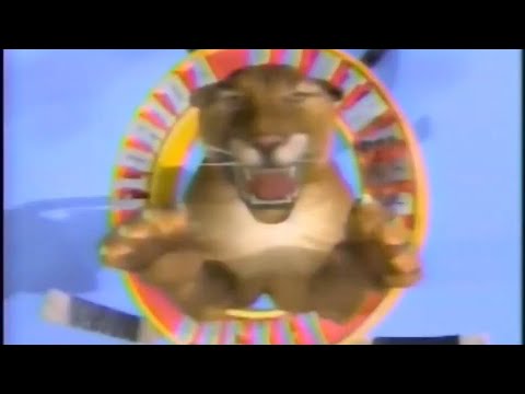 Florida Panthers on Sunshine Network intro 1995 - YouTube