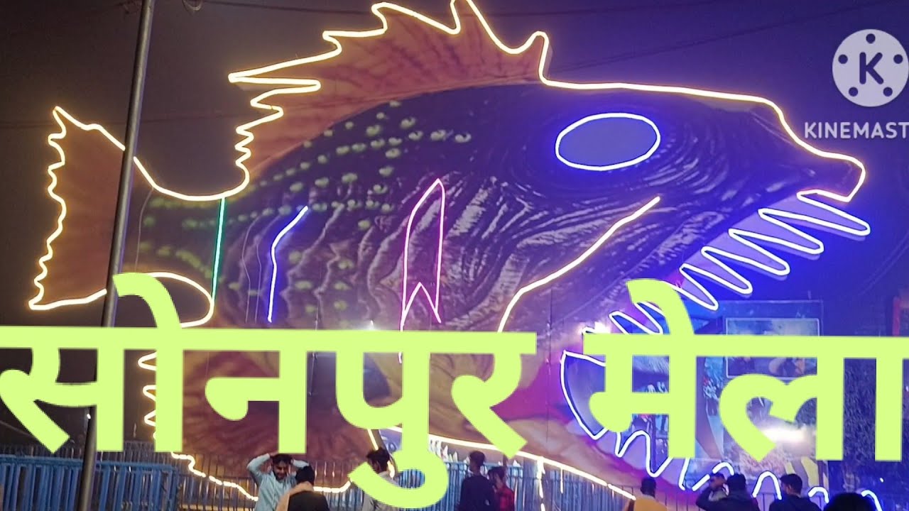 @STORYTAK_RISHU SONPUR MELA | BIGGEST ANIMAL FAIR OF INDIA | - YouTube