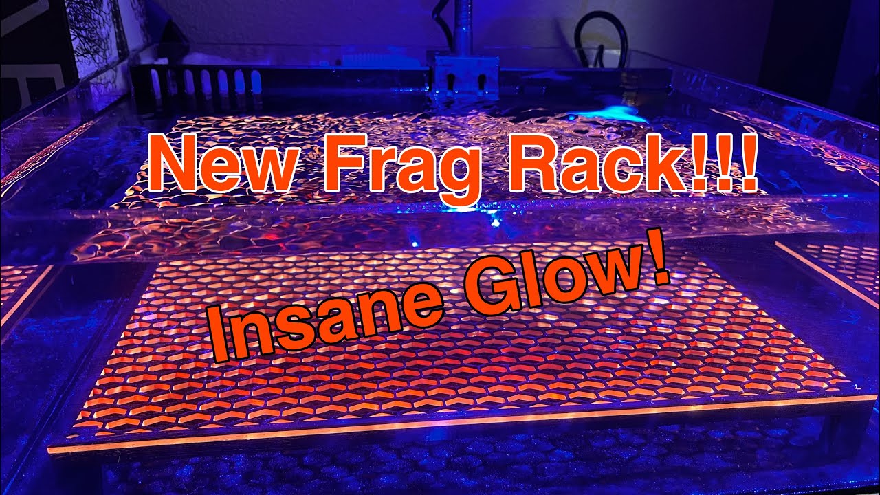 Frag Tank - New Frag Rack Unboxing - YouTube