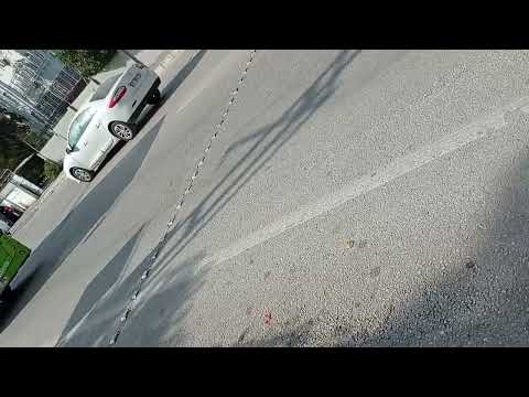 Temsa Avenue Lf geçiş hat 142