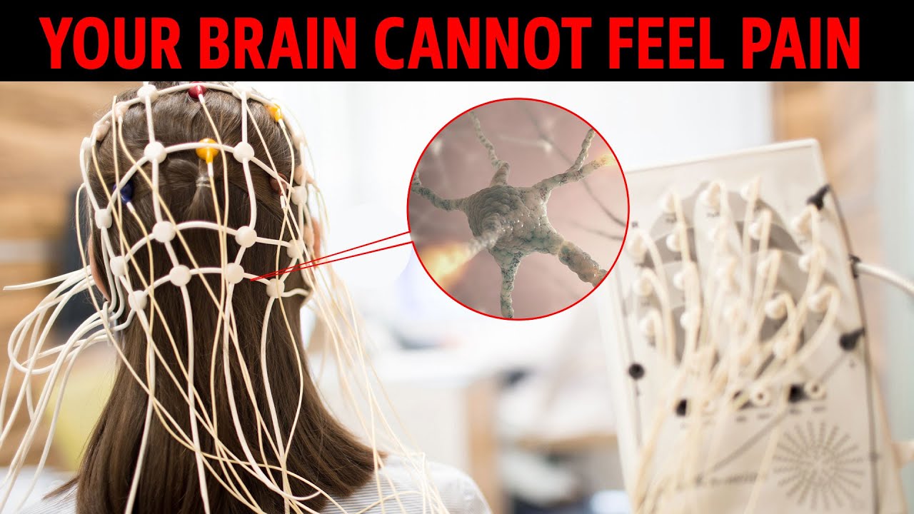 Is it true that our brain cannot feel pain - YouTube