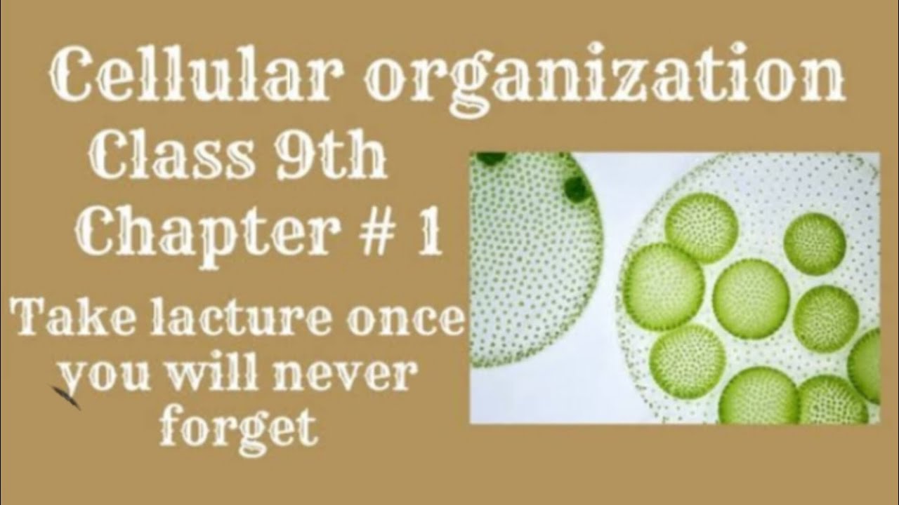 Unicellular Organization| Chapter # 1| Biology Class 9th| Lec # 9 ...