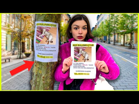KAYIP KEDİ İLANIYLA YALANCILARI TESPİT ETMEK!