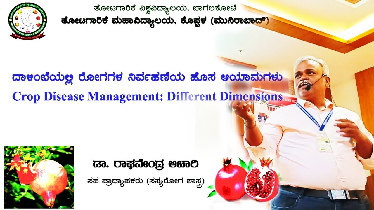 Disease mangement, Different dimensions in Pomegranate by Dr.Ragavendra ...