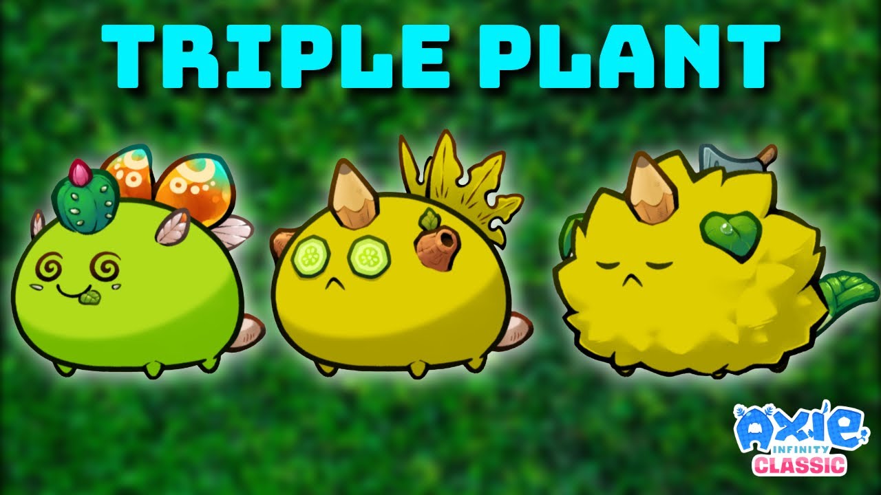 THE TANK TEAM THAT DESTROYS YOU | Triple Plant Build | Axie Classic ...