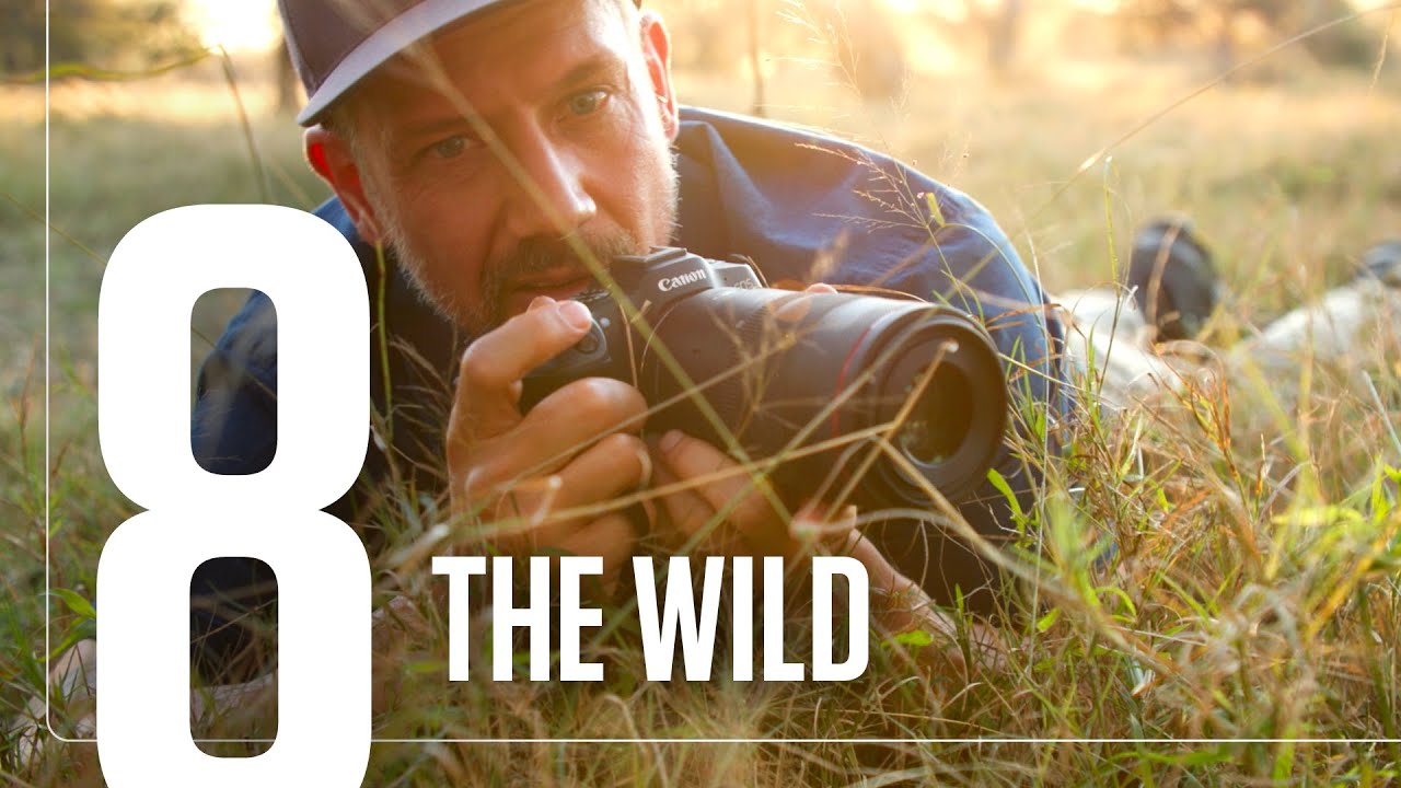 The Wild | S2E8 | The Perfect Picture - YouTube