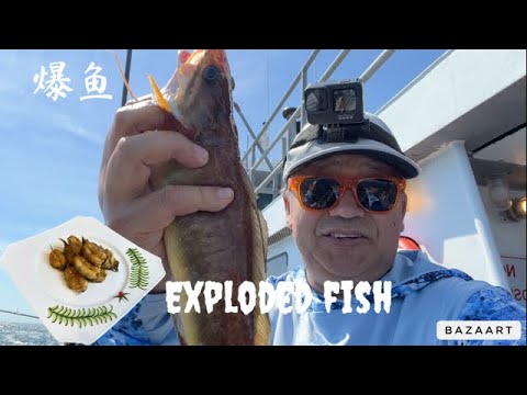 Catching Ling for exploded fish | 爆鱼 - YouTube
