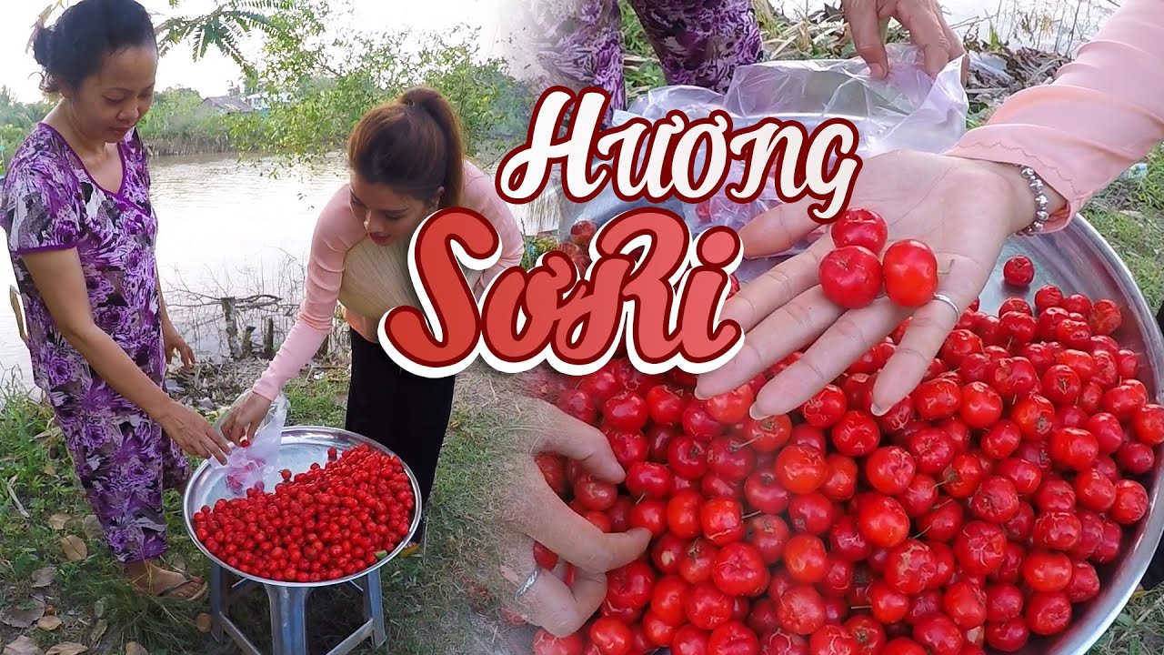 ĐSMSN - Hương Sơri Gò Công #miềnTây - Đặc sản miền sông nước - YouTube