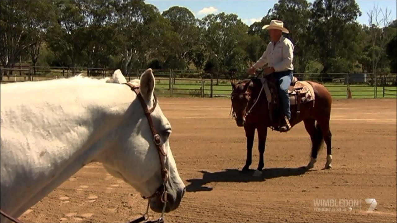 ...Cowboy Up Trail Riding on Channel 7's Queensland Weekender - YouTube