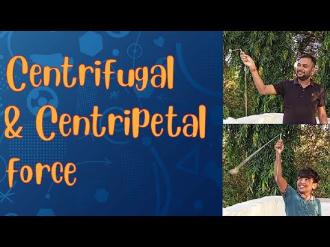 Centripetal force & centrifugal force activity #ncert #physics #cbse ...