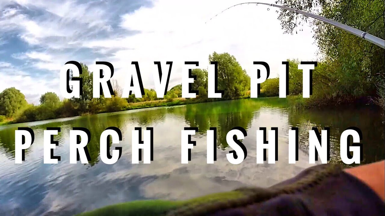 UK Gravel Pit PERCH Fishing (TOXIC Algae?) - YouTube