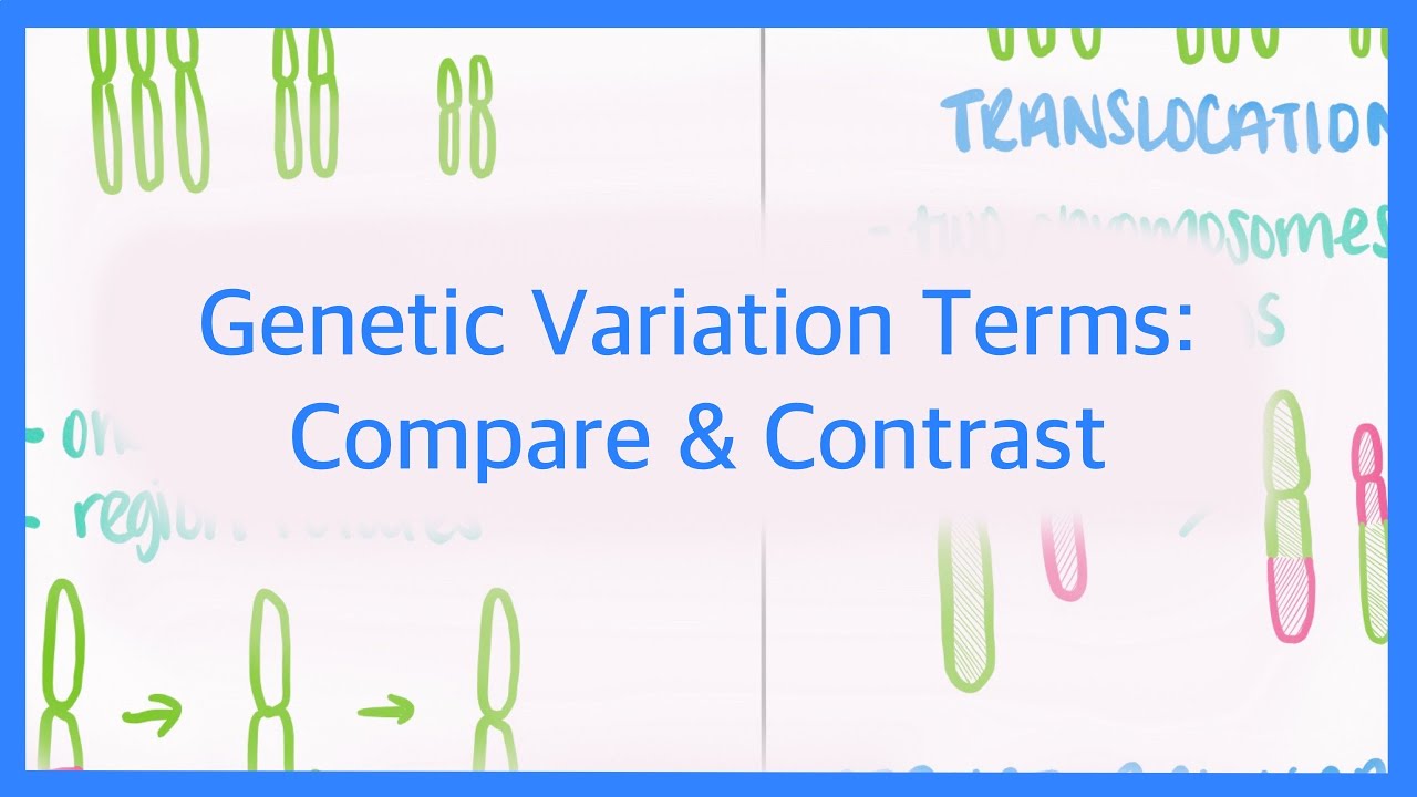 Genetic Variation Terminology: Compare & Contrast - YouTube