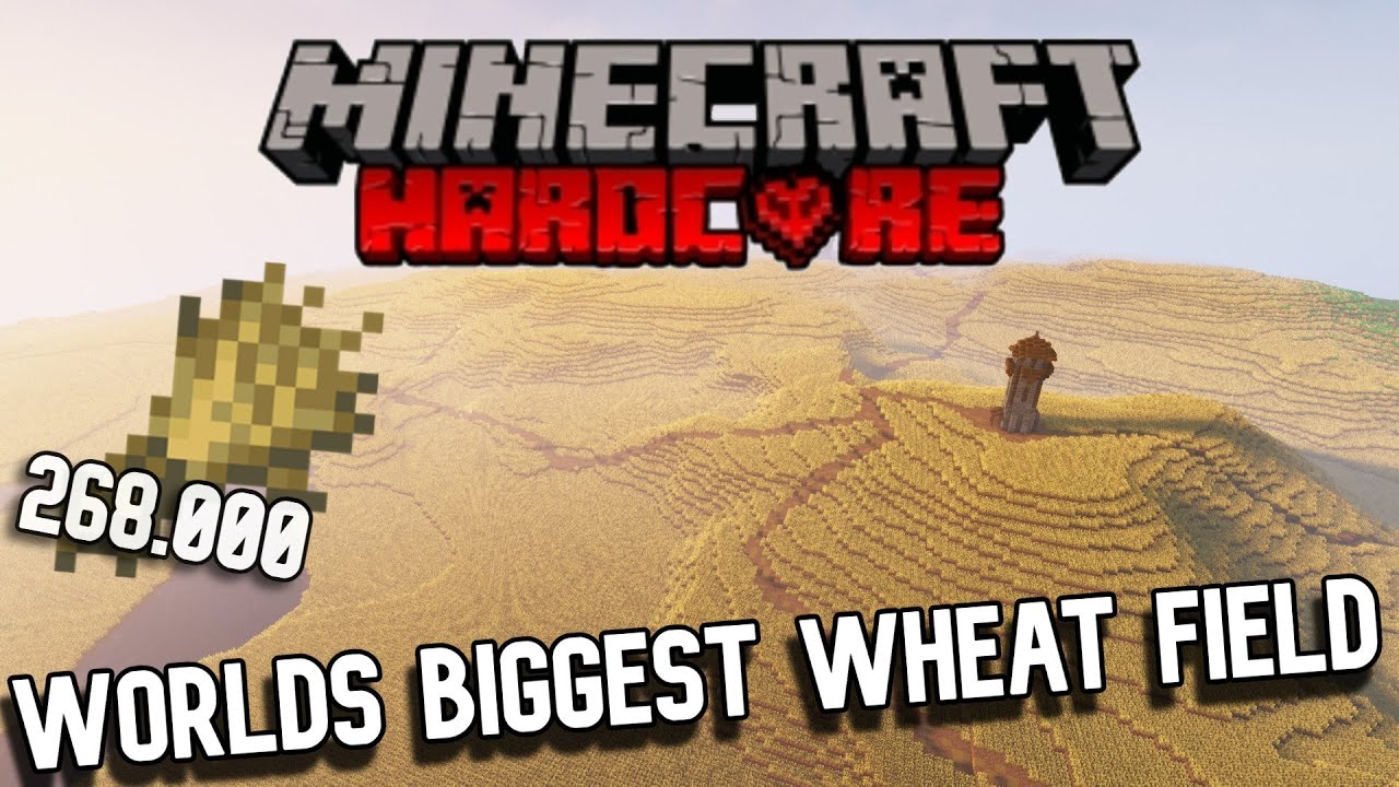 Building World Biggest Wheat Field | 277K planted | minecraft hardcore ...