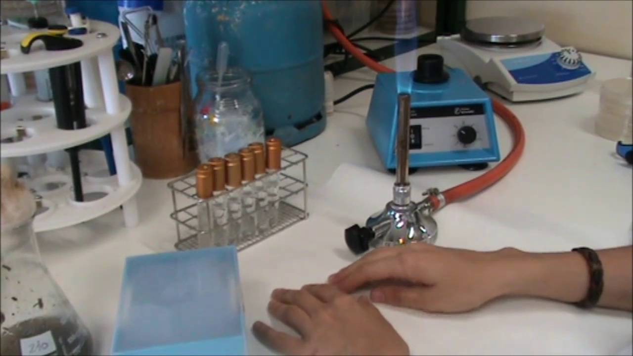 Técnicas básicas de Microbiología: Cómo hacer diluciones seriadas ...