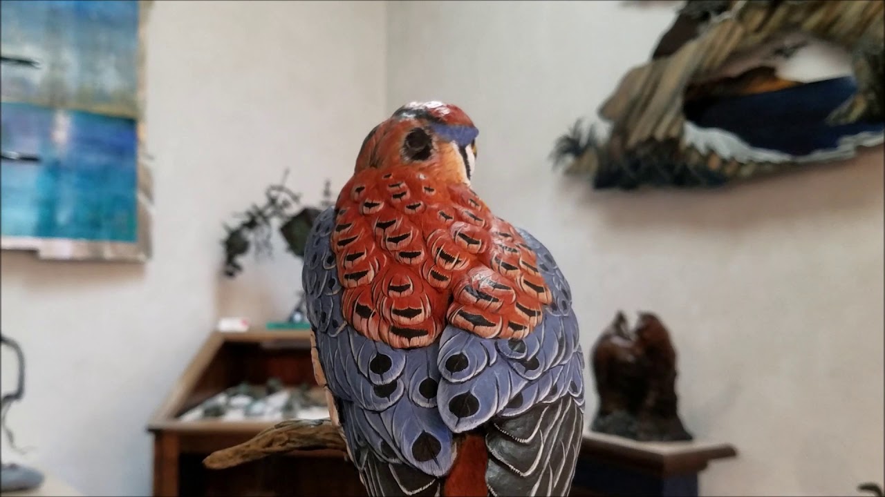 Kestrel On Watch by Eugene Morelli - YouTube